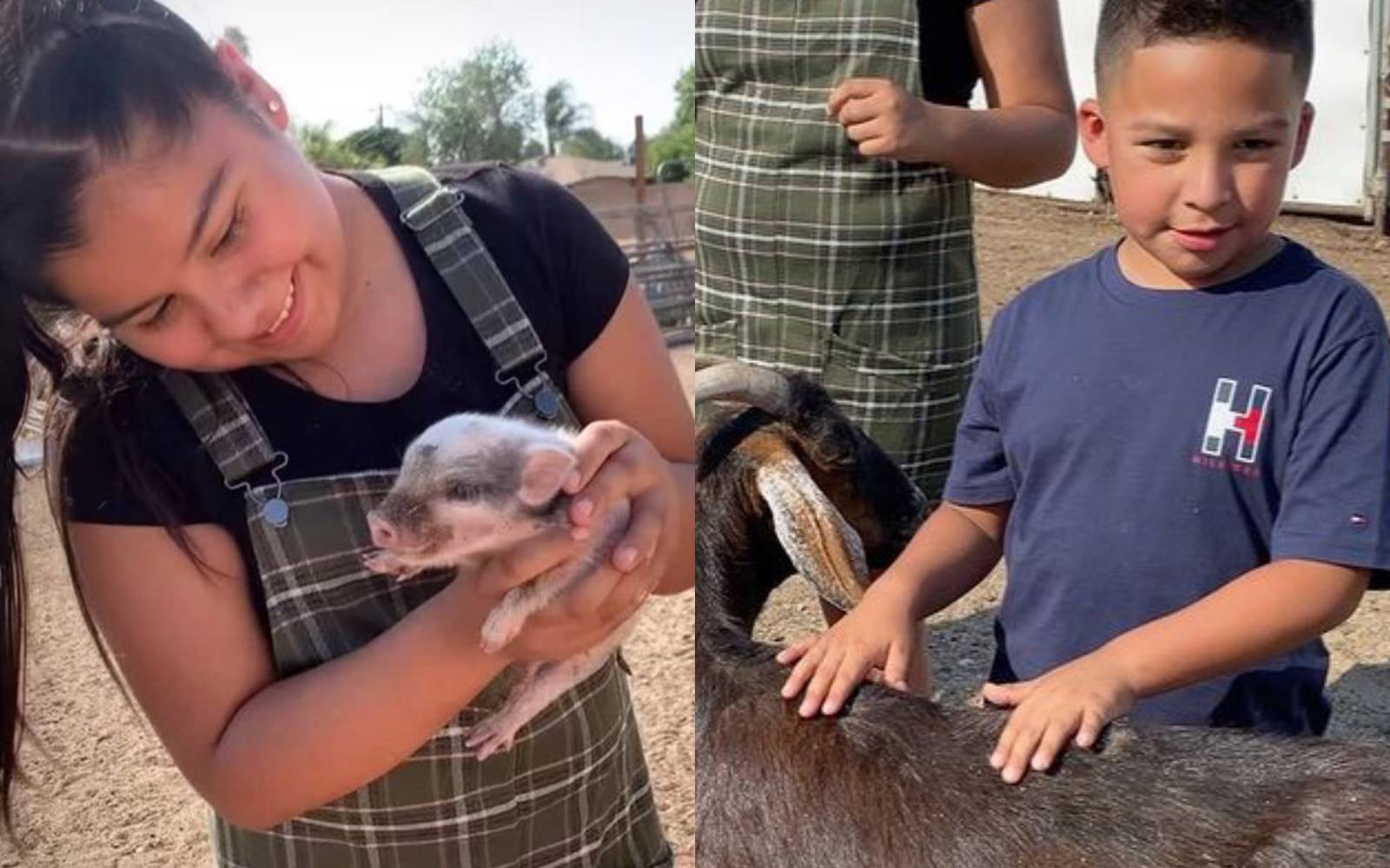 Rancho Los Fonseca is a Petting Zoo in Muscoy, CA 92407