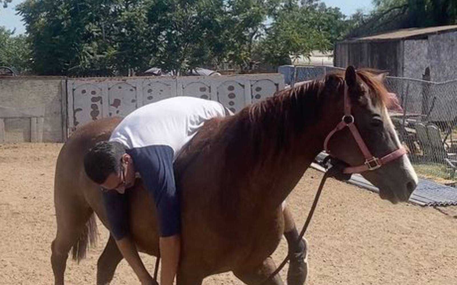 Rancho Los Fonseca is a Petting Zoo in Muscoy, CA 92407